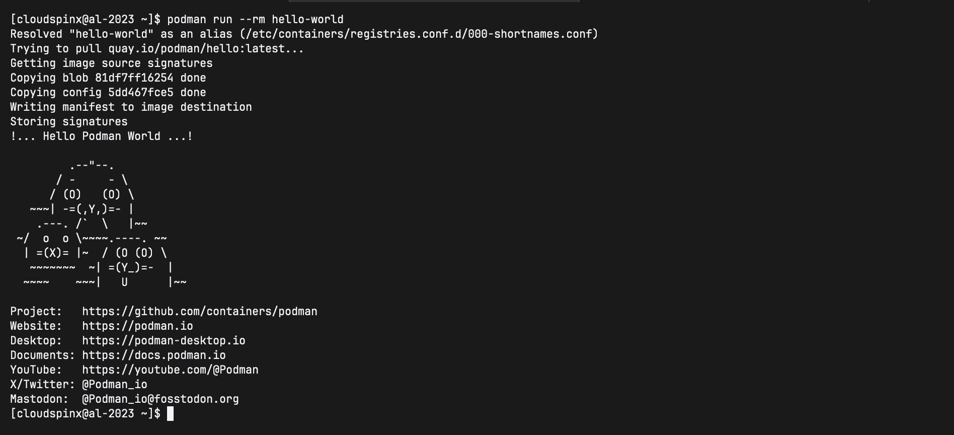 How To Install Podman in Amazon Linux 2023 [Guide]