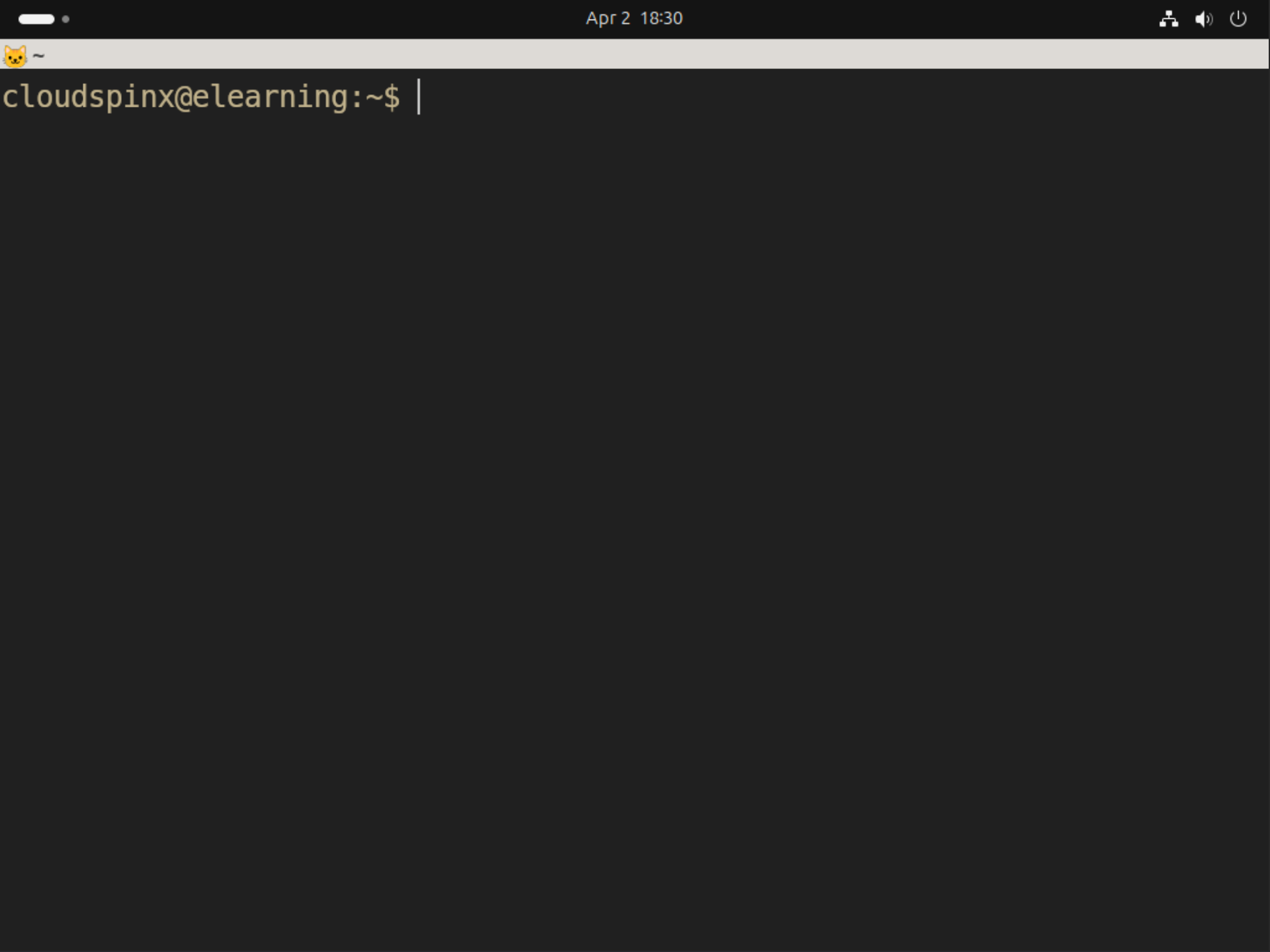 Install and Configure Kitty Terminal Emulator on [Guide]