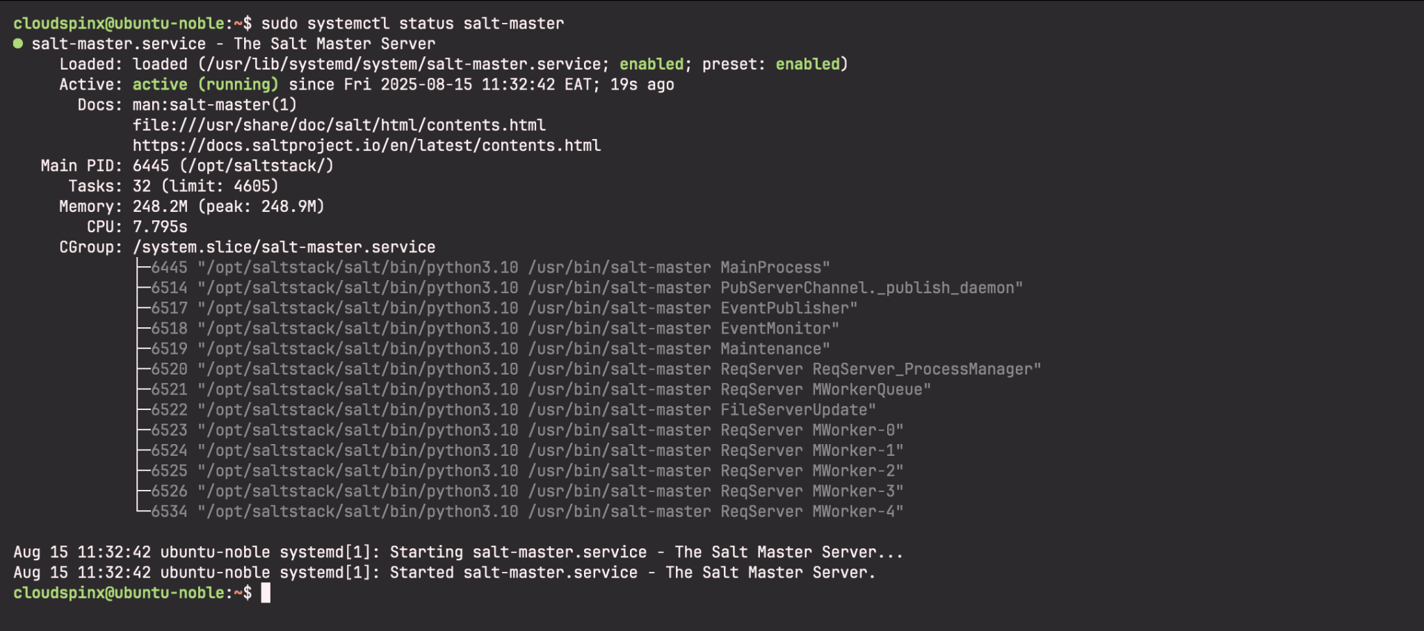 Install Saltstack Master & Minion on Ubuntu 24.04 [Guide]