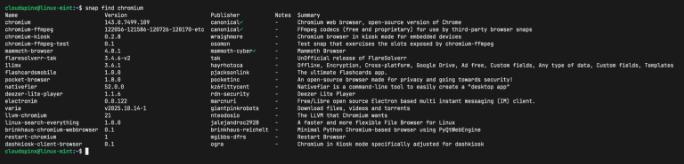 How To Install and Use Snap in Linux Mint 22 [Guide]