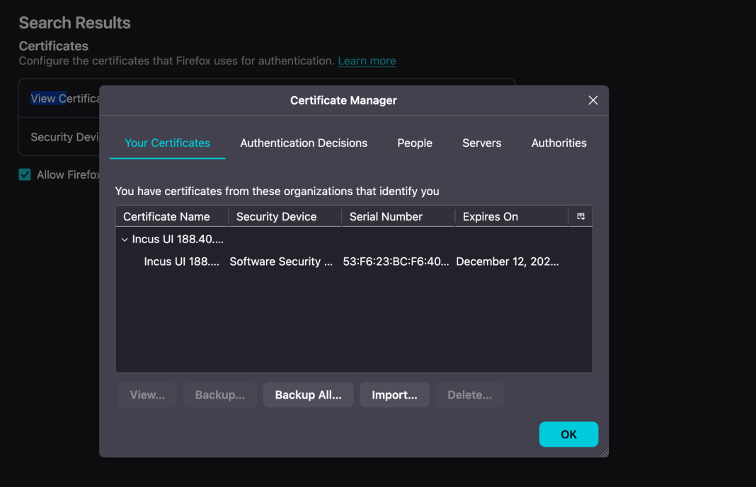 Install LXC and Incus on Ubuntu 24.04/22.04 [With Web UI]